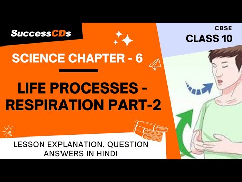 Life Processes Part 2 Respiration, Class 10 Biology, NCERT Science ...