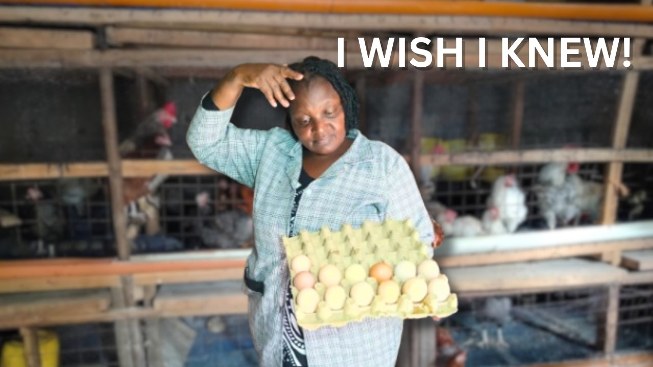 7 Things I Wish I Knew Before Chicken Farming(After Losing 50 Birds)