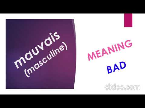 What's the meaning of the FRENCH word - " MAUVAIS "