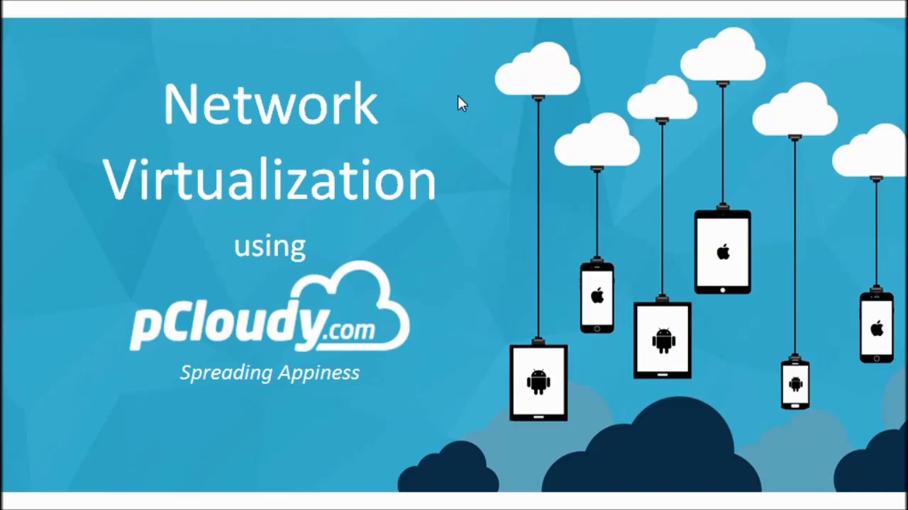 Network Virtualization
