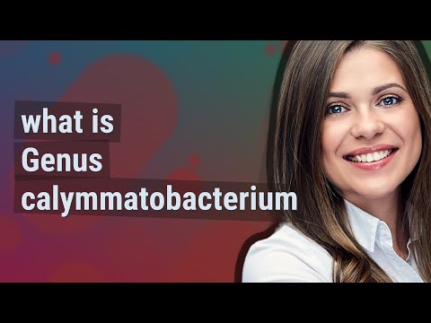 Genus calymmatobacterium | meaning of Genus calymmatobacterium