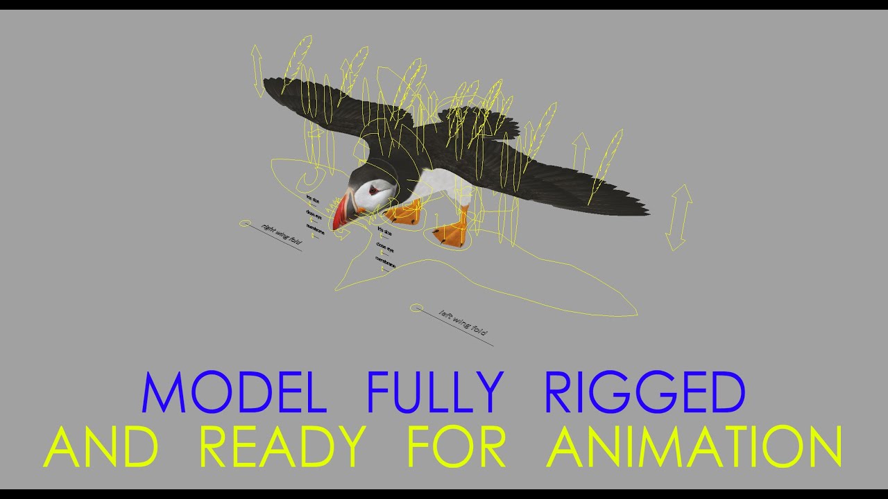 Puffin Rig Preview Maya.