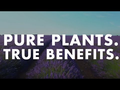 Aura Cacia Quality - Pure Plants. True Benefits.