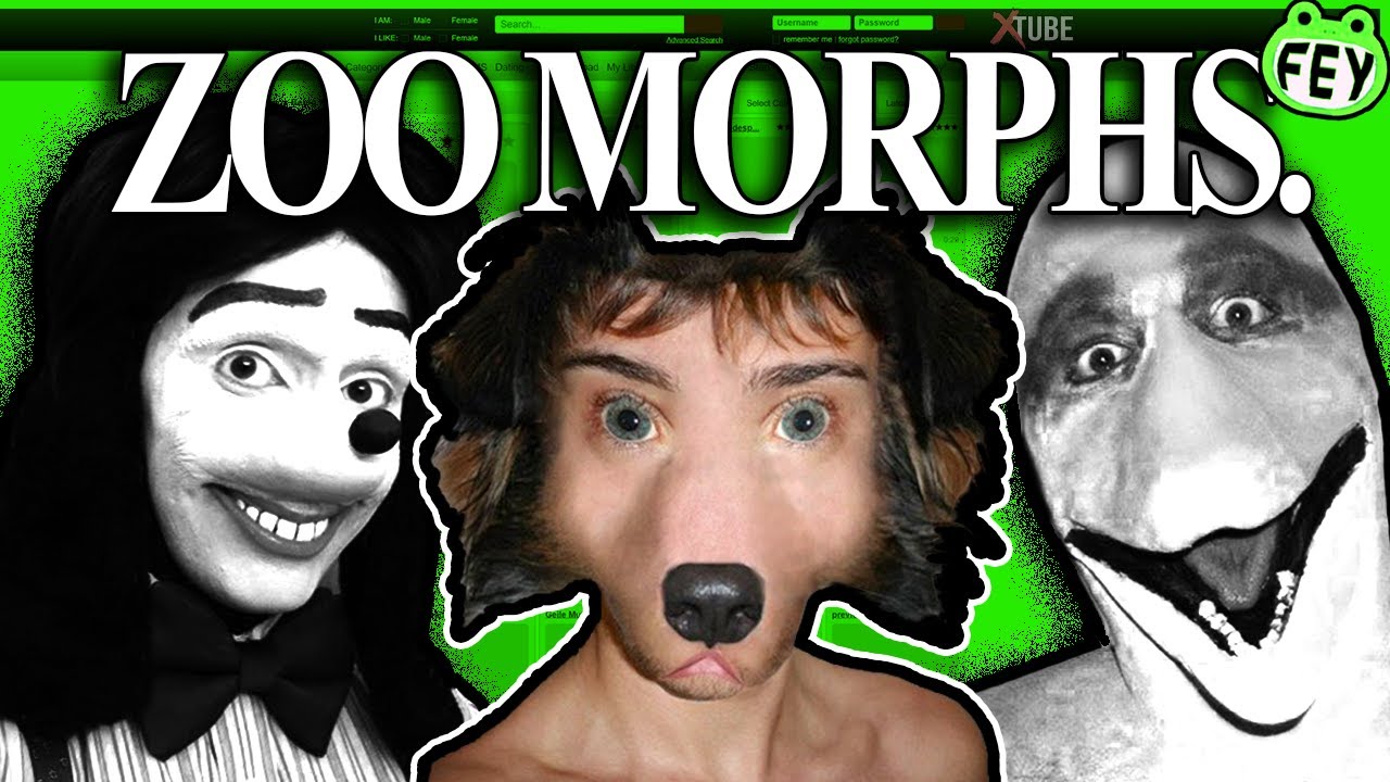 The Furry 