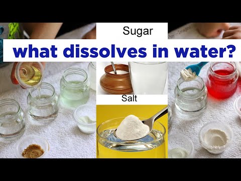 Which Solids dissolve in water | Science Experiments for Kids | dissolved & non dissolved experiment