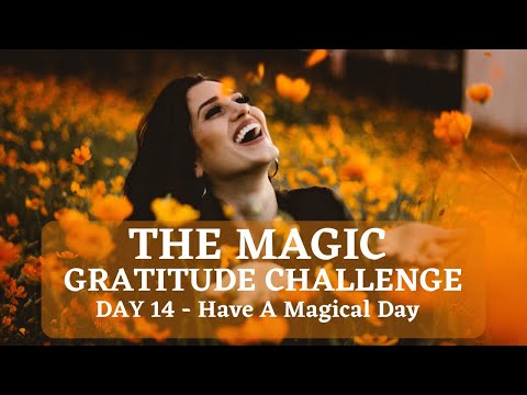 The Magic 28 Day Gratitude Challenge | Day 14 | How To Have A Magical Day