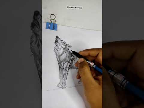 Animal Anatomy Day 5 #anatomy #animals #tutorial #artclass #artwork #arte #drawingoftheday