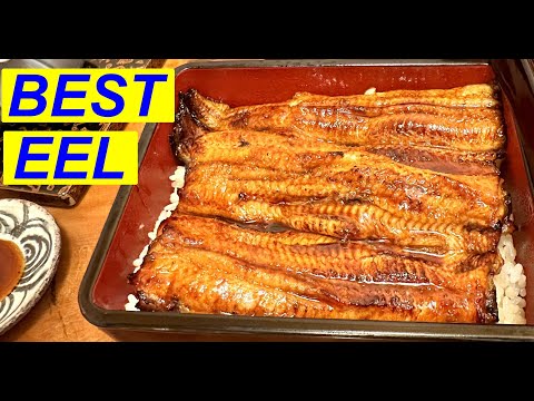 Tomoei Michelin Star Unagi Freshwater Eel (Japan 2023 Part 17) うなぎ亭 友栄