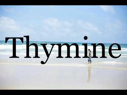 How To Pronounce Thymine🌈🌈🌈🌈🌈🌈Pronunciation Of Thymine