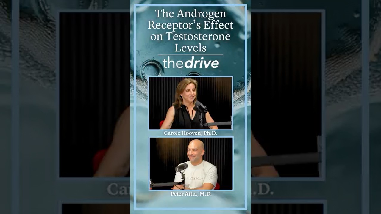 The Androgen Receptor’s Effect on Testosterone Levels | Carole Hooven, Ph.D.