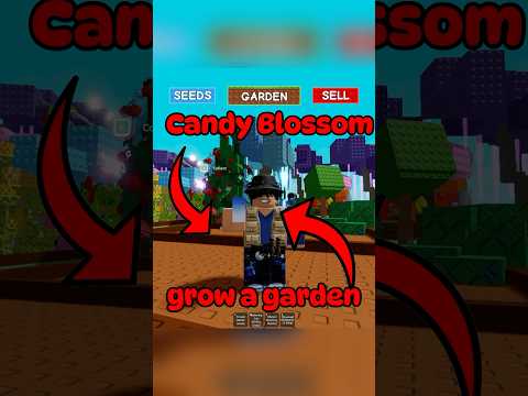 CANDY BLOSSOM SEED GROW A GARDEN #growagarden