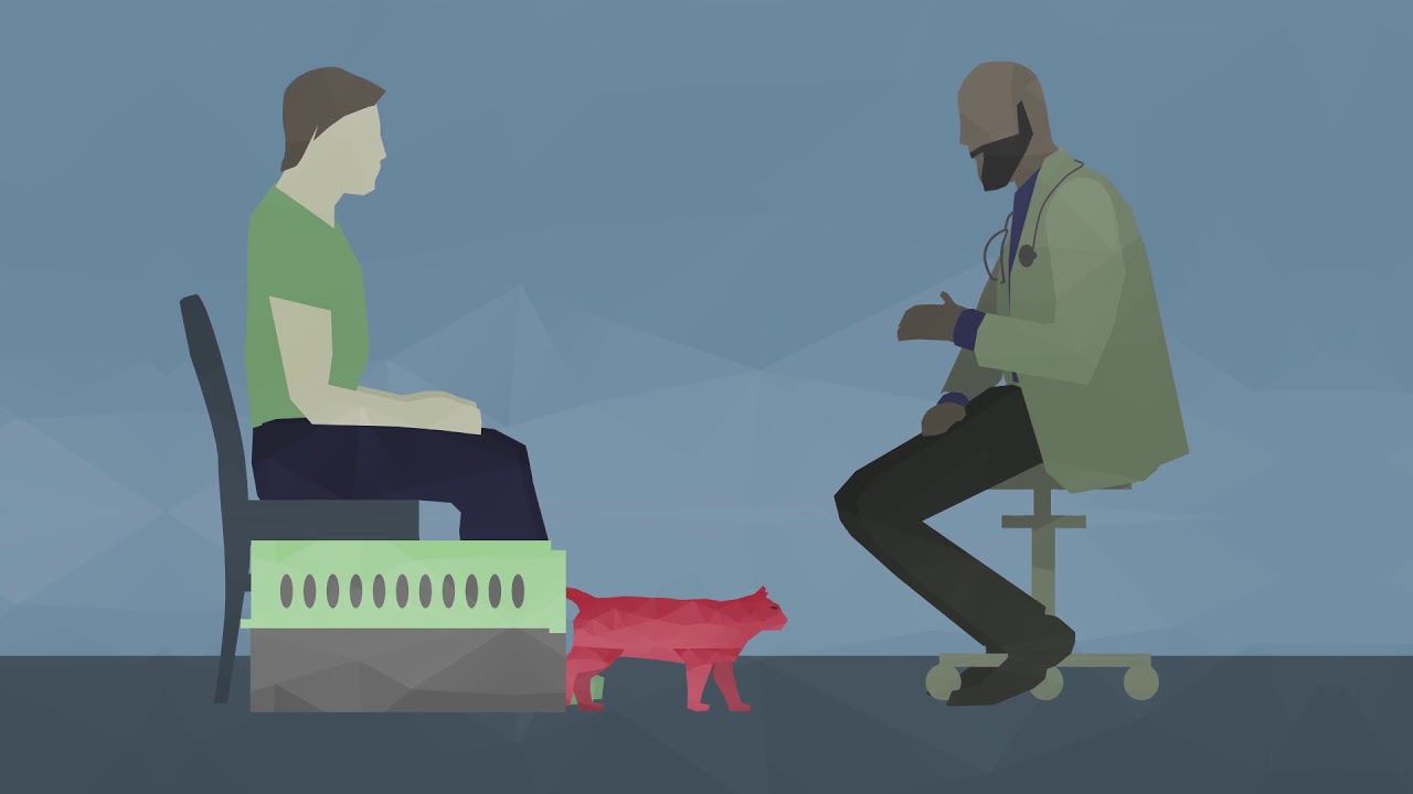 How Fear Free Veterinary Visits are Different at Freeport Animal Hospital