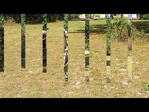 Real estate for sale in SARASOTA Florida - MLS# A4182211