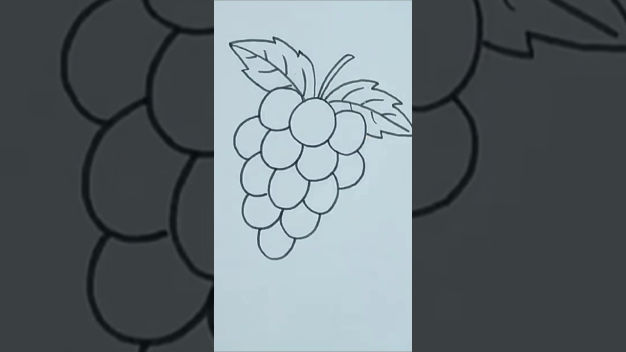 grapes drawing easily step by step|| grapes art #grape  #grapesdrawing #drawing  #art  #shorts #yt