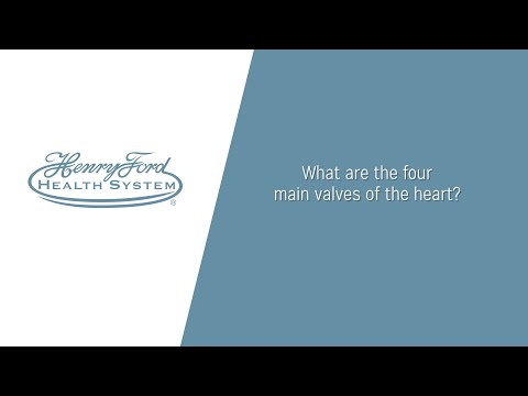 Dr Brian O'Neill - The Four Heart Valves