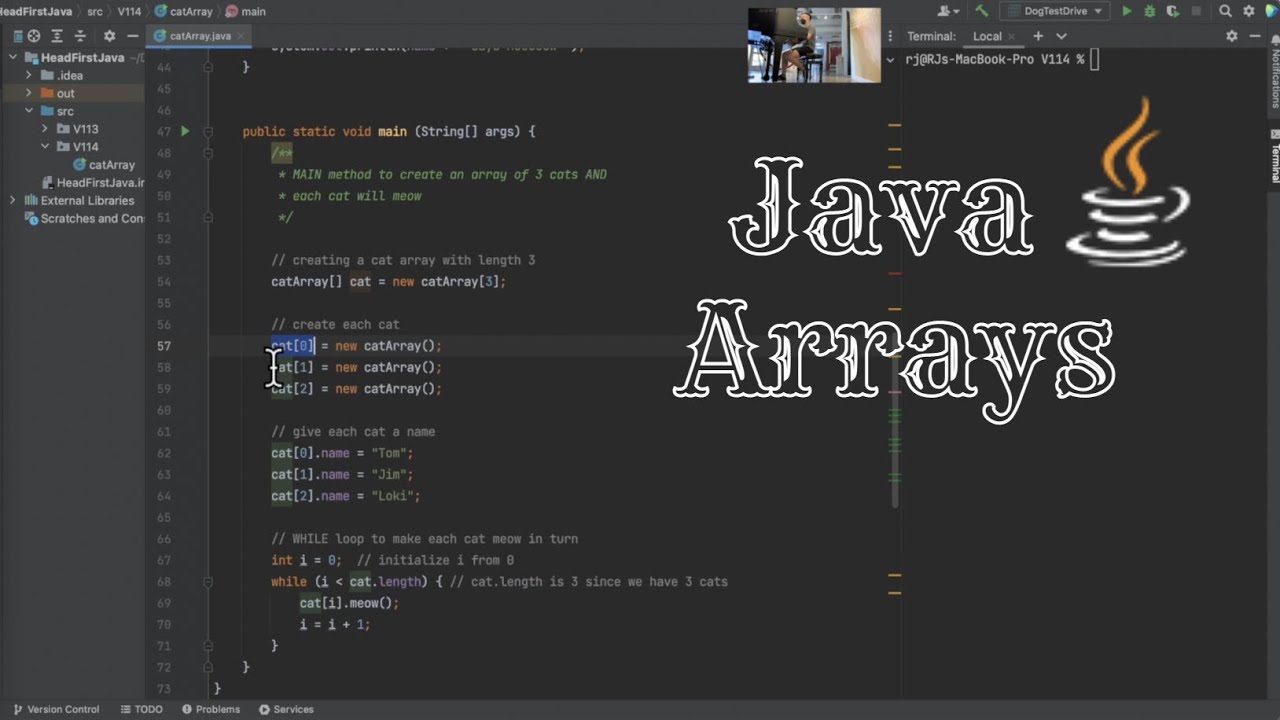 #Java | Java Arrays ☕ | #JavaArray #JavaClass #JavaCompiler #intellij
