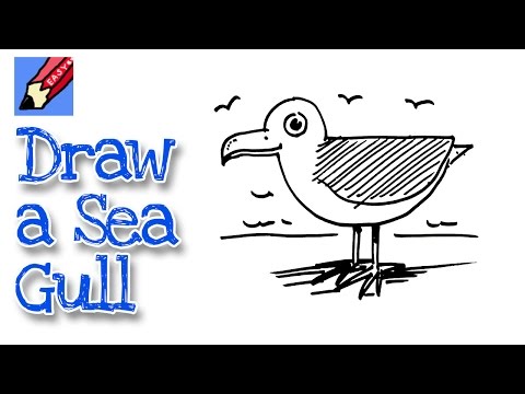 how to draw a sea gull real easy – Shoo Rayner
