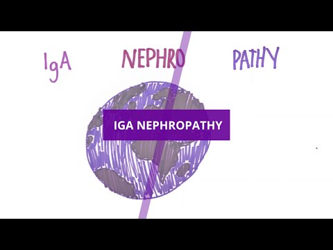 What is IgA Nephropathy?