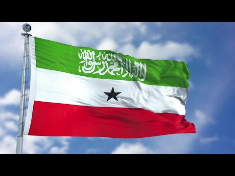 Somaliland Flag Animation Stock Motion Graphics