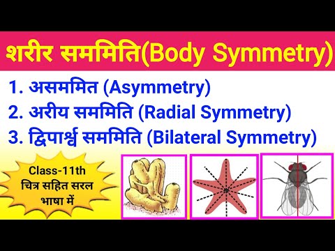 शरीर सममिति (Body Symmetry) | Asymmetry | Radial Symmetry | Bilateral Symmetry | biology ScienceSK