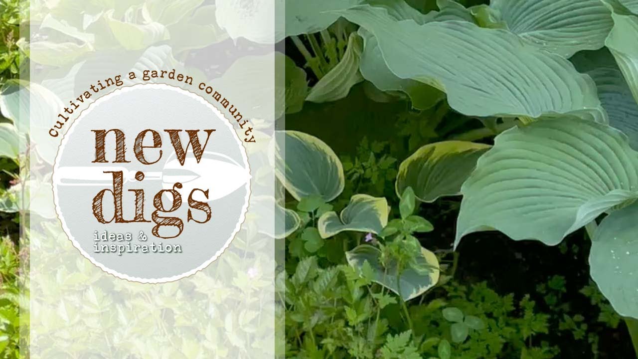 Garden Design 101: Texture and Form