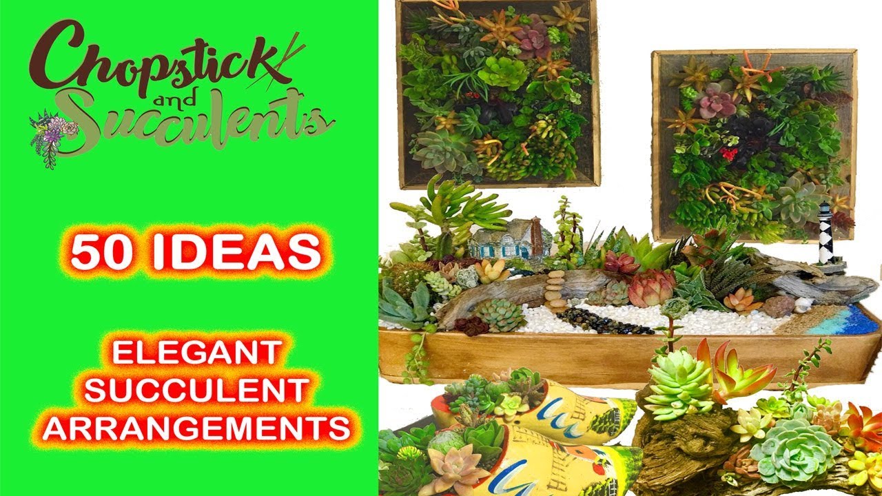 SUCCULENT ARRANGEMENTS (50 ELEGANT ARRANGEMENT IDEAS)