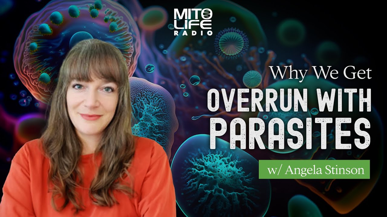 Understanding Parasites: Insights from Angela Stinson on Mitolife Radio ...