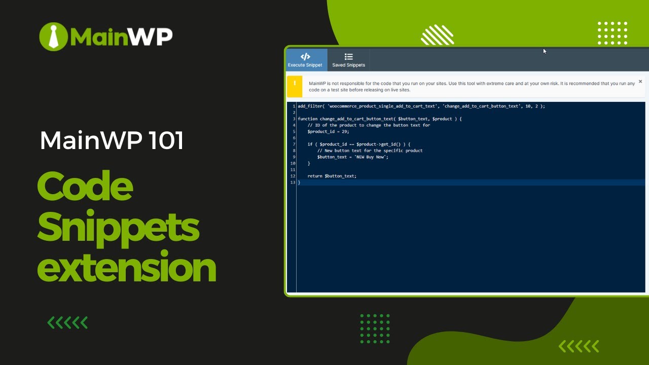 Code Snippets extension - MainWP 101