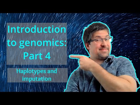 Haplotypes and imputation | Introduction to genomics theory | Genomics101 (beginner-friendly)