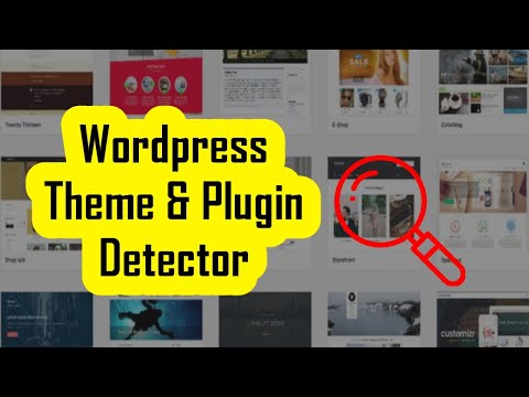 Wordpress Theme and Plugin Detector