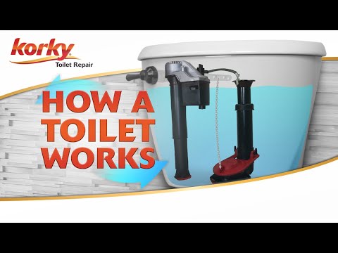 How a Toilet Works - Anatomy of a Toilet