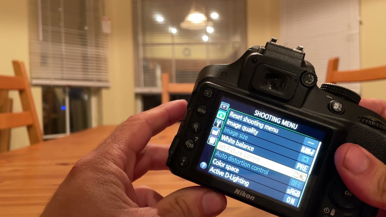 QUICK TUTORIAL | NIKON D3300 D-LOG SETUP
