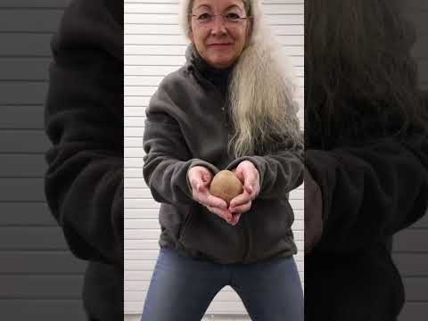 Super Foods I Give My Dogs For Health | Dr. Judy
