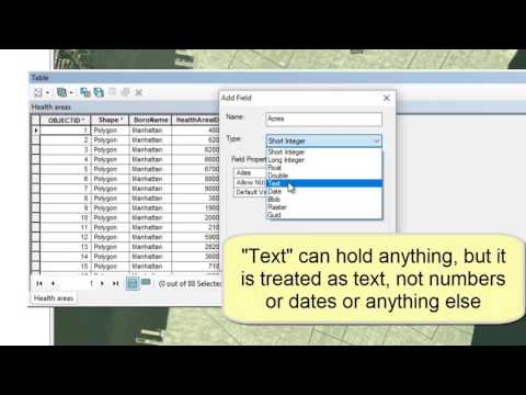 Field Types in ArcMap