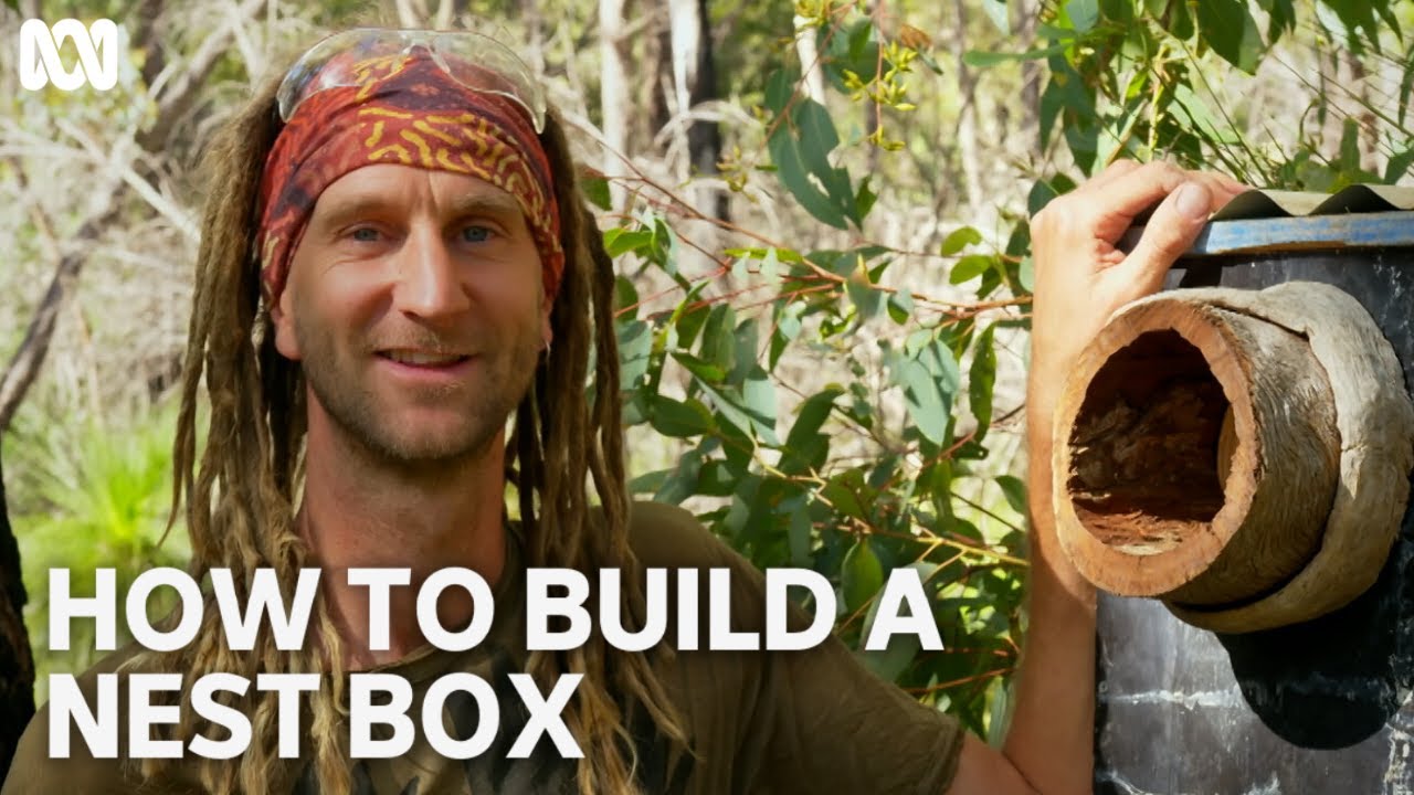 How to build a nest box for native animals | Australia's Wild Odyssey | ABC TV + iview