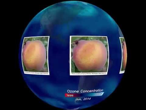 ClimateBits: Ozone Layer