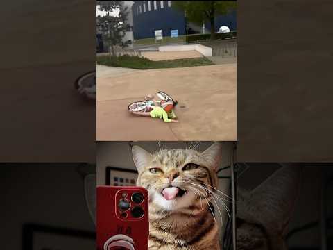 Aura cat funny #cat #meme #funny