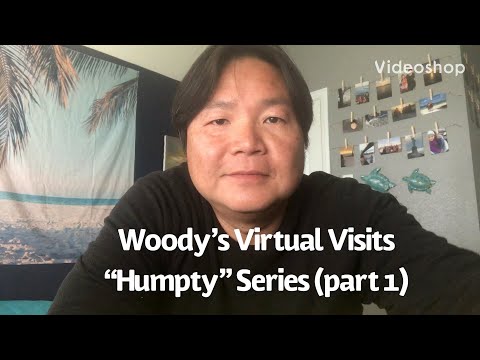 Woody’s Virtual Visits / HUMPTY series (part 1)
