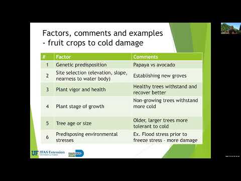 Freeze Protection of Tropical Fruit crops in Florida (Miami-Dade County) - Dr. Jonathan Crane