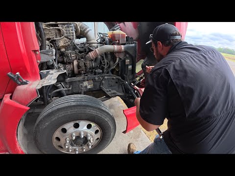 How do you pull a Raccoon out of a Semi Truck