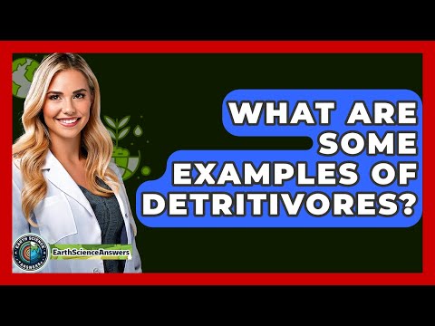 What Are Some Examples Of Detritivores? - Earth Science Answers