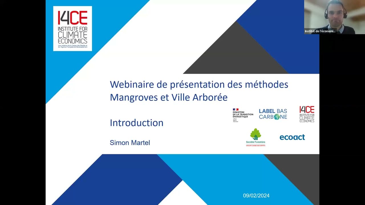 Méthodes Mangroves et Ville arborée du Label Bas-Carbone - I4CE