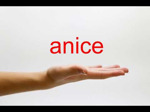 How to Pronounce anice - American English