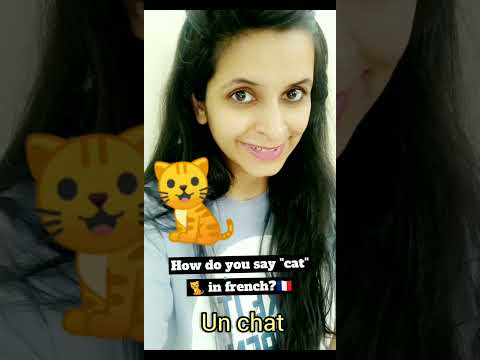 How do you say cat in French | Learn French by Shagun