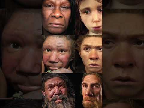 Neanderthals Did Not Give Humans Light Skin