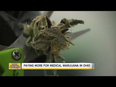 Where are Ohio's medical marijuana dispensaries?