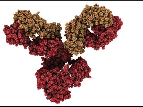 Antibody-drug Conjugates - Where are we Going?