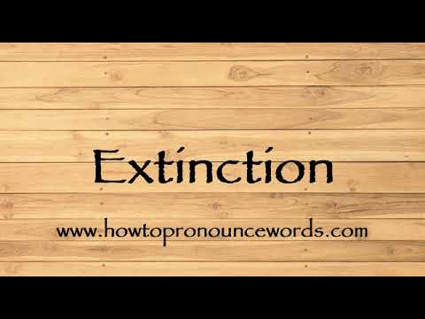 How To Pronounce Extinction ? How To say Extinction New Video