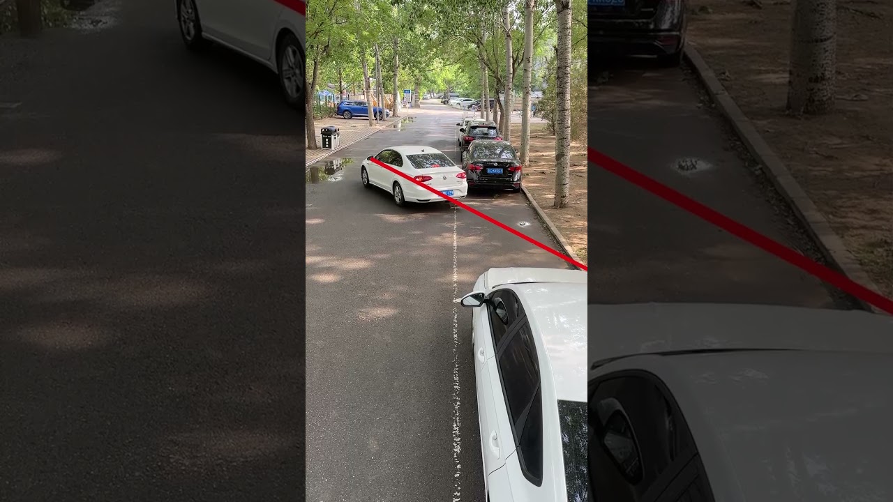 A camera spot teaches you how to park properly!#car #driving