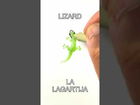 Learn Spanish! ¡Aprenda Inglés! LIZARD : LA LAGARTIJA